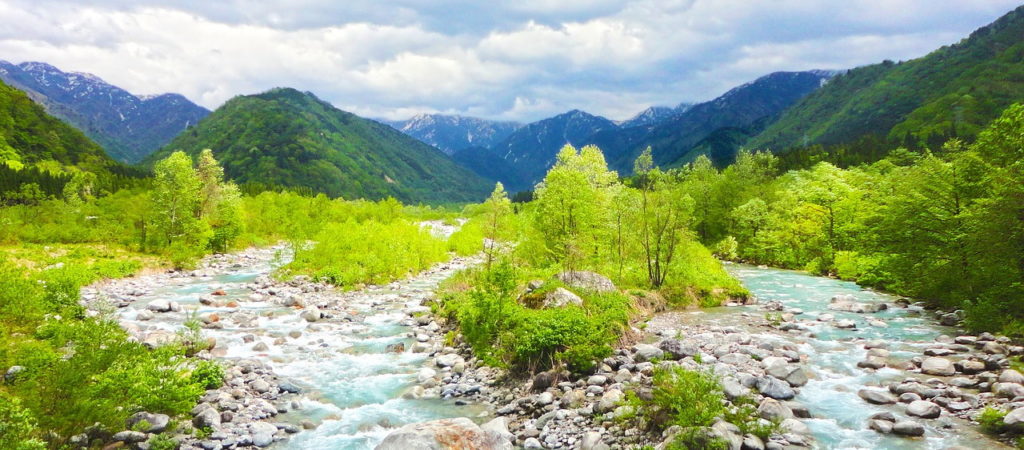 GI WANSUKE - 「生活」をテーマに、「食」（調理器具、グッズ、食材など）と「家具」を中心に情報を発信しています。